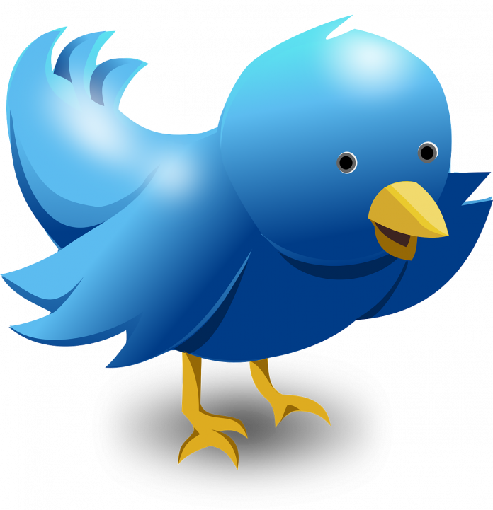 How To See Sensitive Content On Twitter how-to-see-sensitive-content-on-twitter